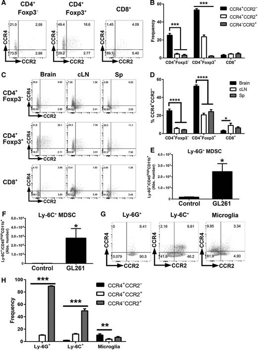 CCL2 Produced by the Glioma Microenvironment Is Essential for the ...