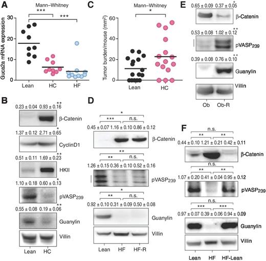 Obesity-Induced Colorectal Cancer Is Driven by Caloric Silencing of the ...