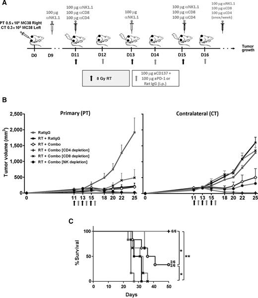 Abscopal Effects of Radiotherapy Are Enhanced by Combined ...