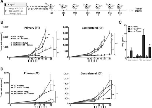 Abscopal Effects of Radiotherapy Are Enhanced by Combined ...