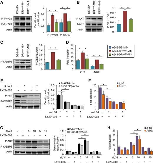 Chemotherapy-Induced IL34 Enhances Immunosuppression by Tumor ...