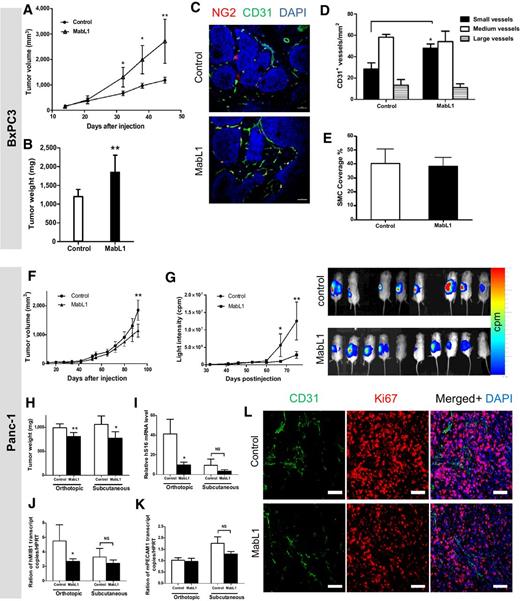 Dual Roles for CXCL4 Chemokines and CXCR3 in Angiogenesis and Invasion ...