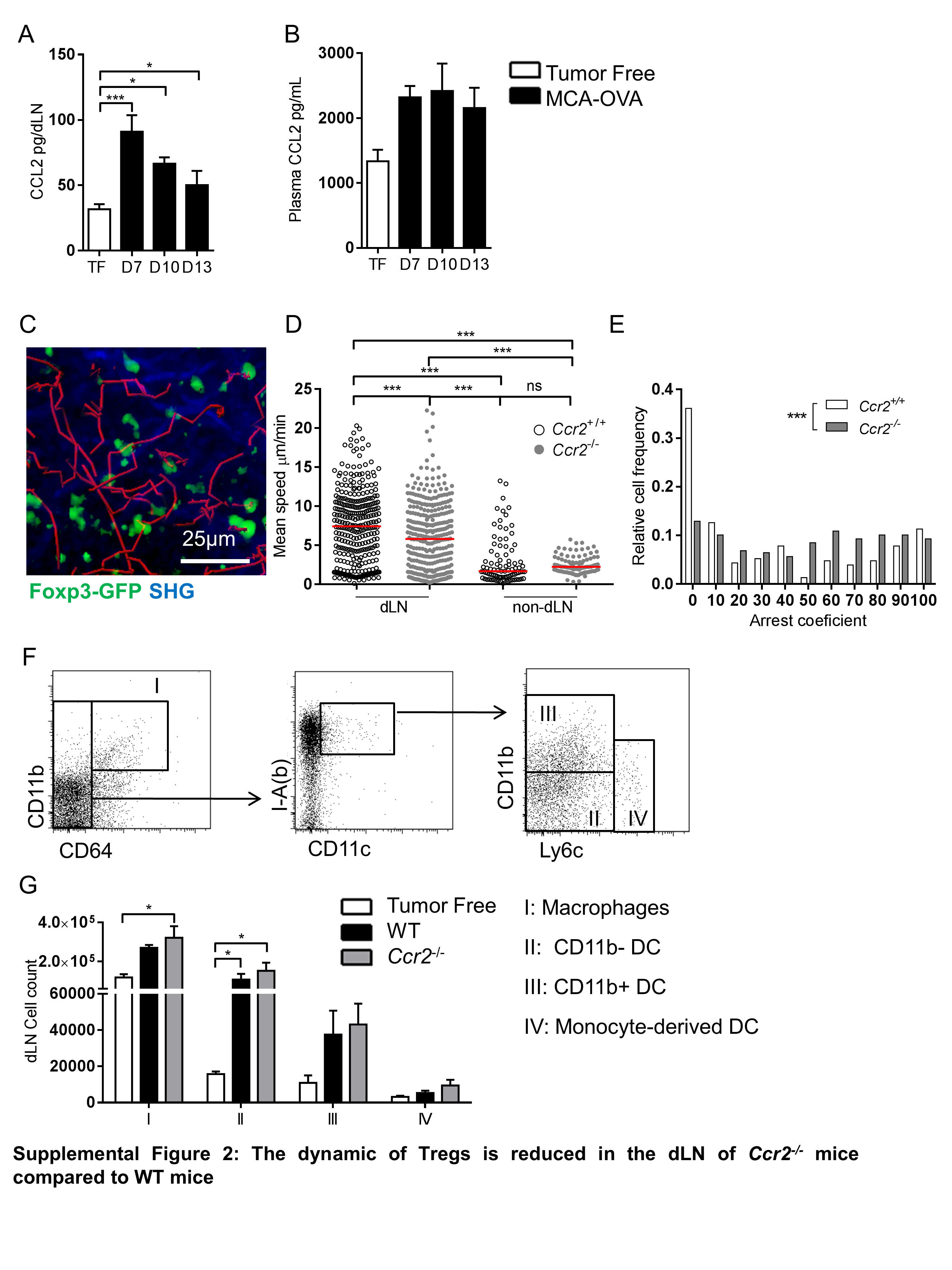 CCR2 Influences T Regulatory Cell Migration to Tumors and Serves as a ...