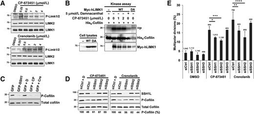 Pharmacological Inhibition of Centrosome Clustering by Slingshot ...