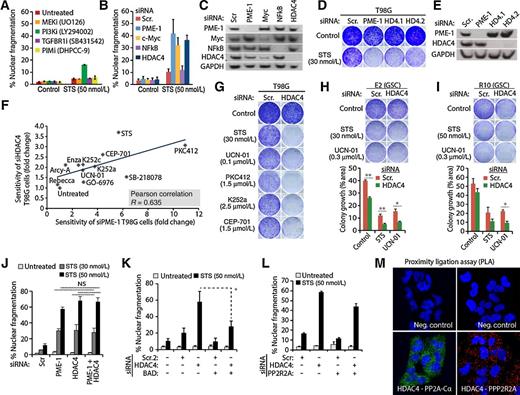 PP2A Inhibitor PME-1 Drives Kinase Inhibitor Resistance in Glioma Cells ...