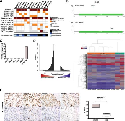 IDH2 Mutations Define a Unique Subtype of Breast Cancer with Altered ...