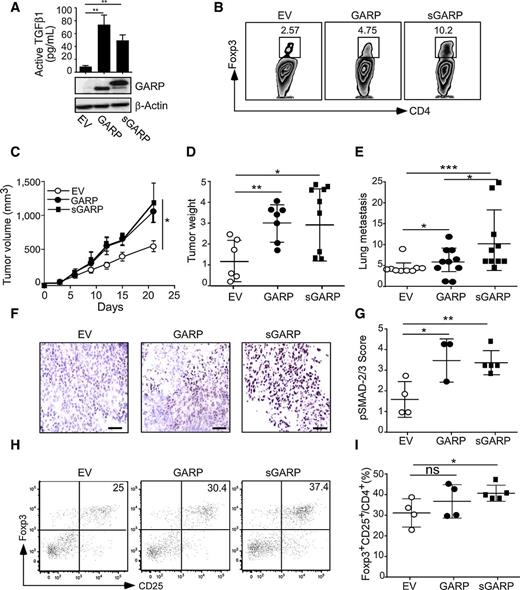 Surface Expression of TGFβ Docking Receptor GARP Promotes Oncogenesis ...