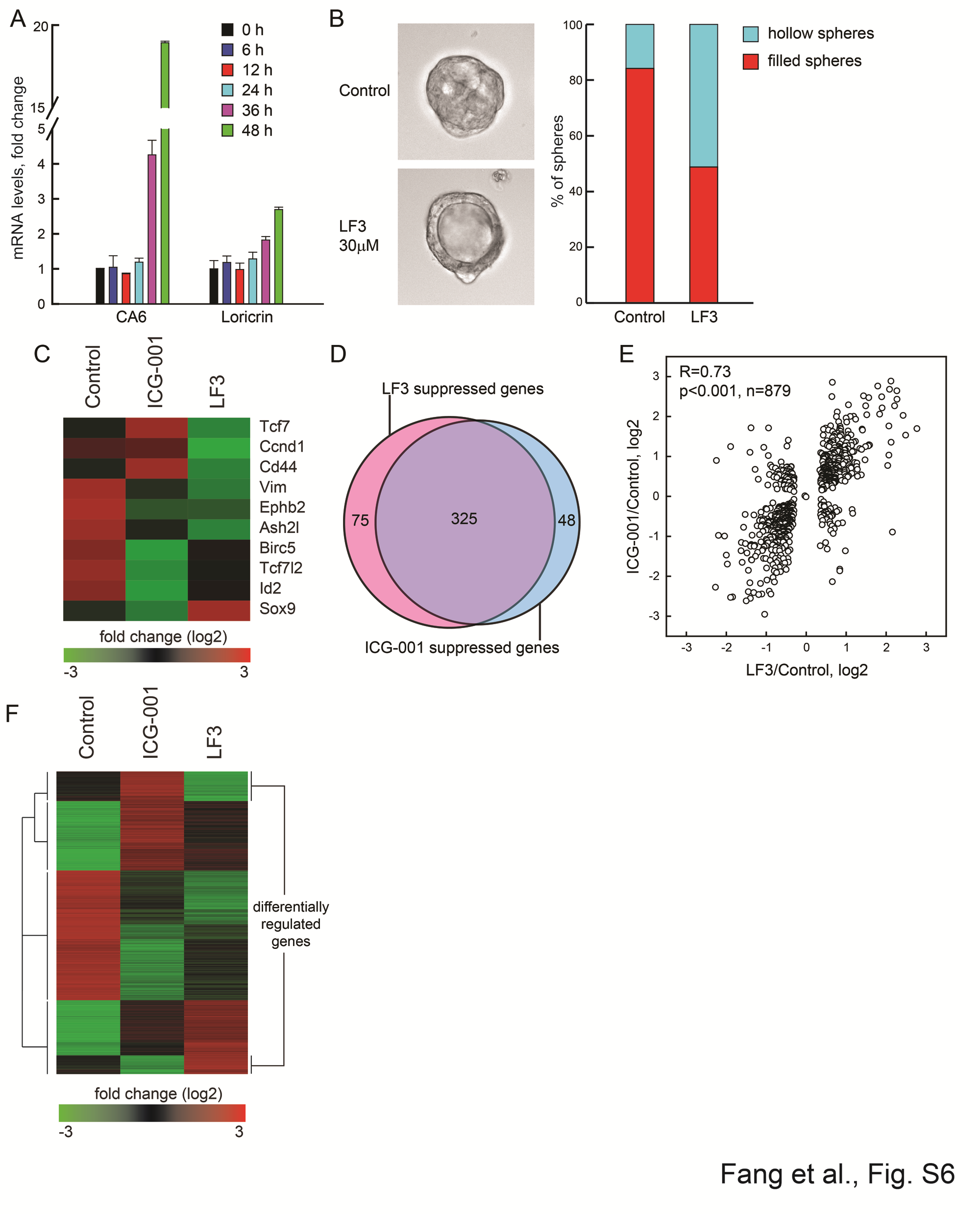 A Small-Molecule Antagonist of the β-Catenin/TCF4 Interaction Blocks ...
