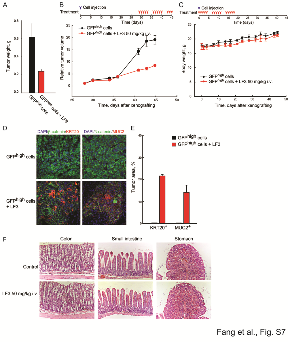 A Small-Molecule Antagonist of the β-Catenin/TCF4 Interaction Blocks ...