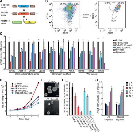 A Small-Molecule Antagonist of the β-Catenin/TCF4 Interaction Blocks ...