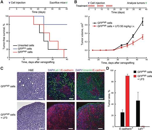 A Small-Molecule Antagonist of the β-Catenin/TCF4 Interaction Blocks ...