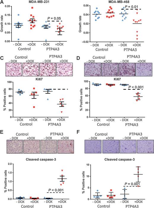 Phosphatase PTP4A3 Promotes Triple-Negative Breast Cancer Growth and ...