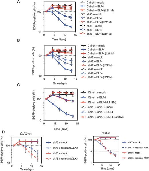 Mutational Landscape and Antiproliferative Functions of ELF ...