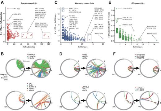 An Atlas of the Human Kinome Reveals the Mutational Landscape ...