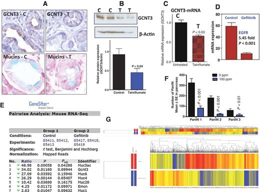 Small-Molecule Inhibition of GCNT3 Disrupts Mucin Biosynthesis and ...
