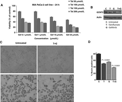 Small-Molecule Inhibition of GCNT3 Disrupts Mucin Biosynthesis and ...