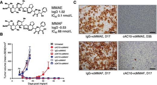 Intracellular Released Payload Influences Potency and Bystander-Killing ...