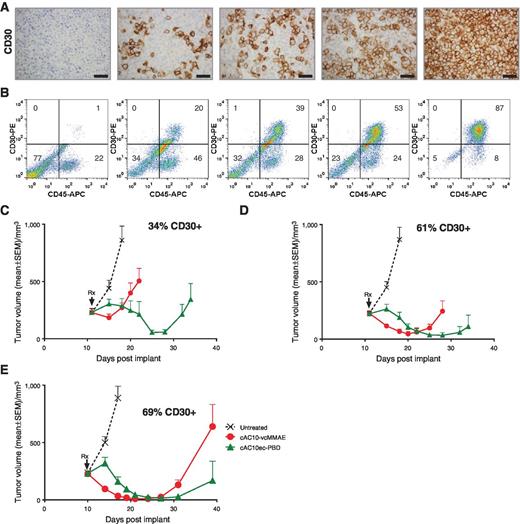 Intracellular Released Payload Influences Potency and Bystander-Killing ...