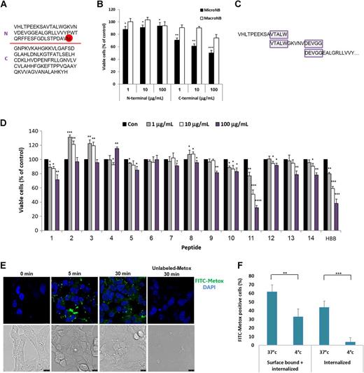 The Beta Subunit of Hemoglobin (HBB2/HBB) Suppresses Neuroblastoma ...