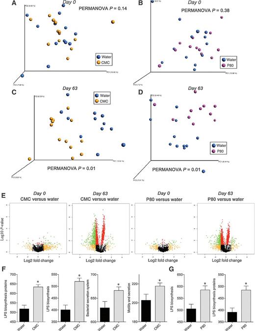 Dietary Emulsifier–Induced Low-Grade Inflammation Promotes Colon ...