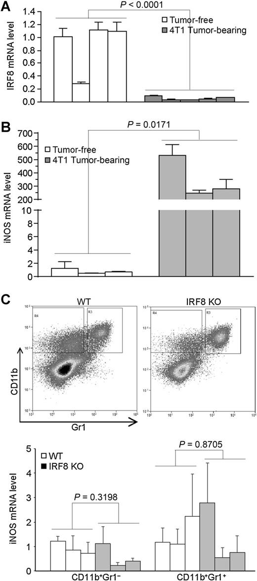 SETD1B Activates iNOS Expression in Myeloid-Derived Suppressor Cells ...