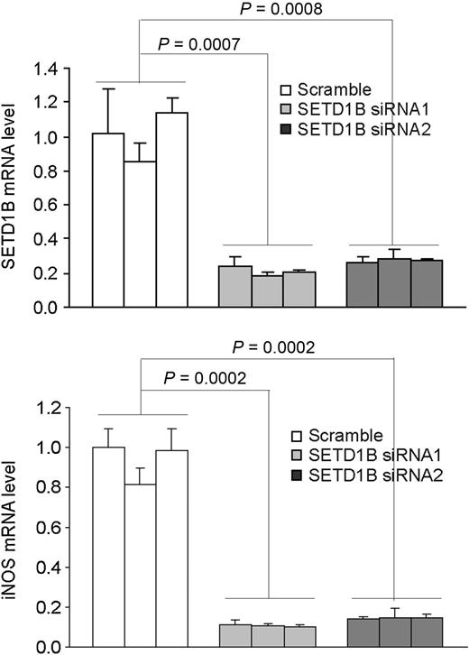 SETD1B Activates iNOS Expression in Myeloid-Derived Suppressor Cells ...