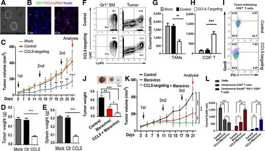 Targeting Autocrine CCL5–CCR5 Axis Reprograms Immunosuppressive Myeloid ...