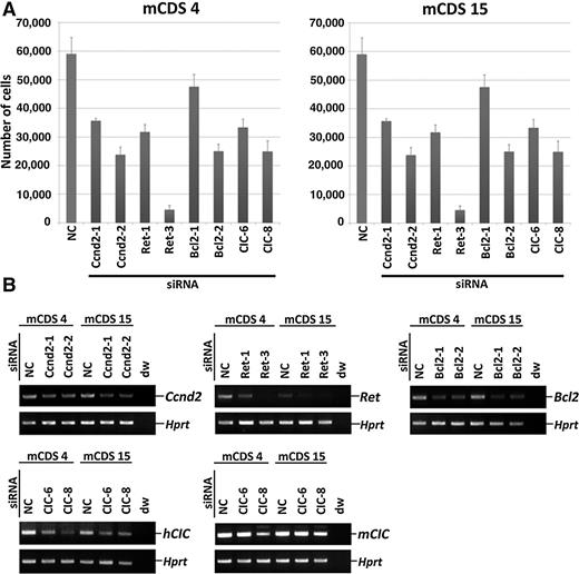 CIC-DUX4 Induces Small Round Cell Sarcomas Distinct from Ewing Sarcoma ...
