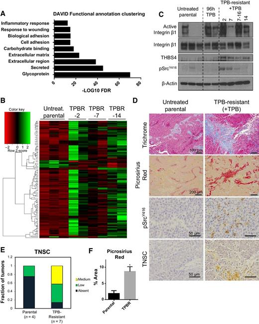 Extracellular Matrix/Integrin Signaling Promotes Resistance to Combined ...