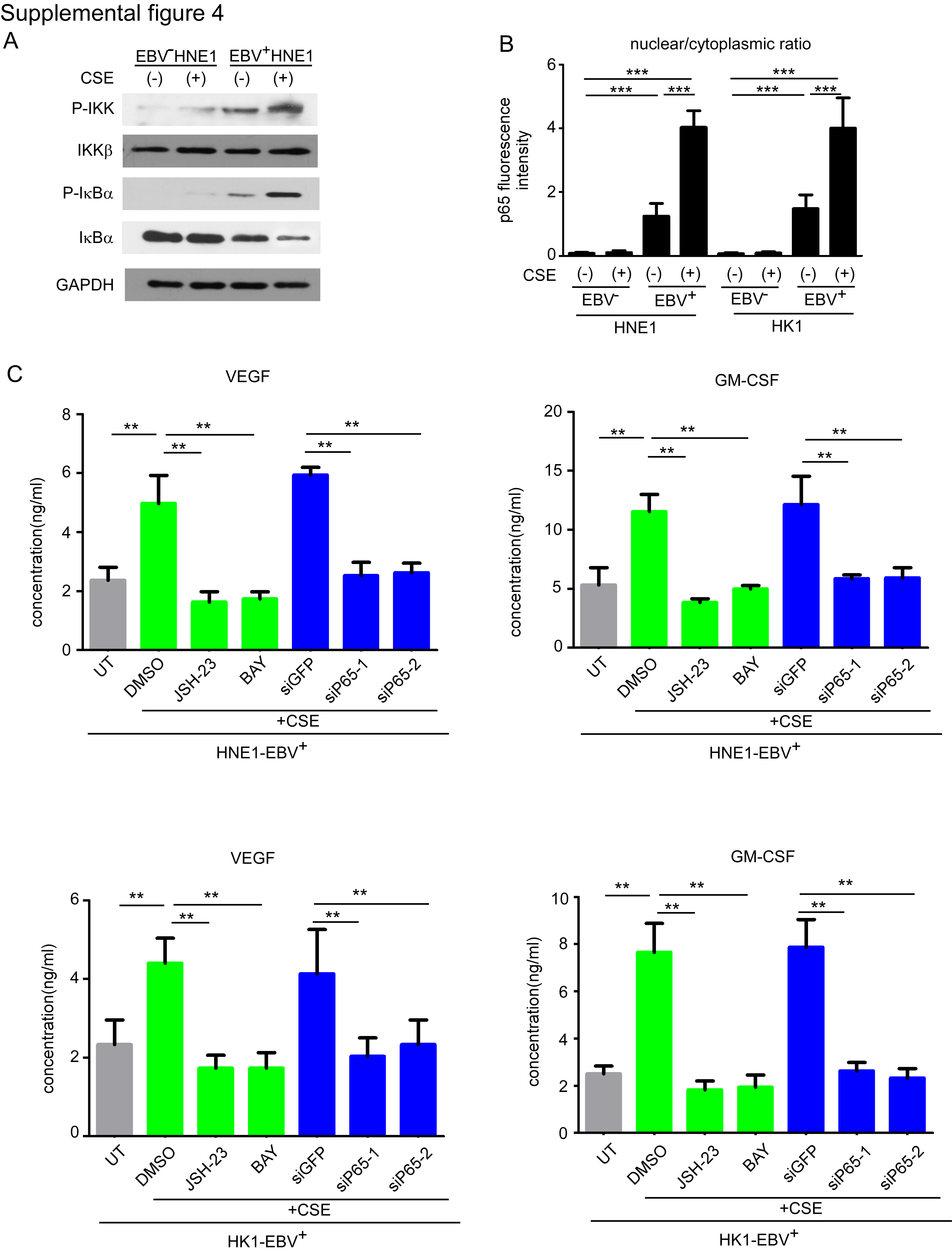 Epstein–Barr Virus-Induced VEGF and GM-CSF Drive Nasopharyngeal ...