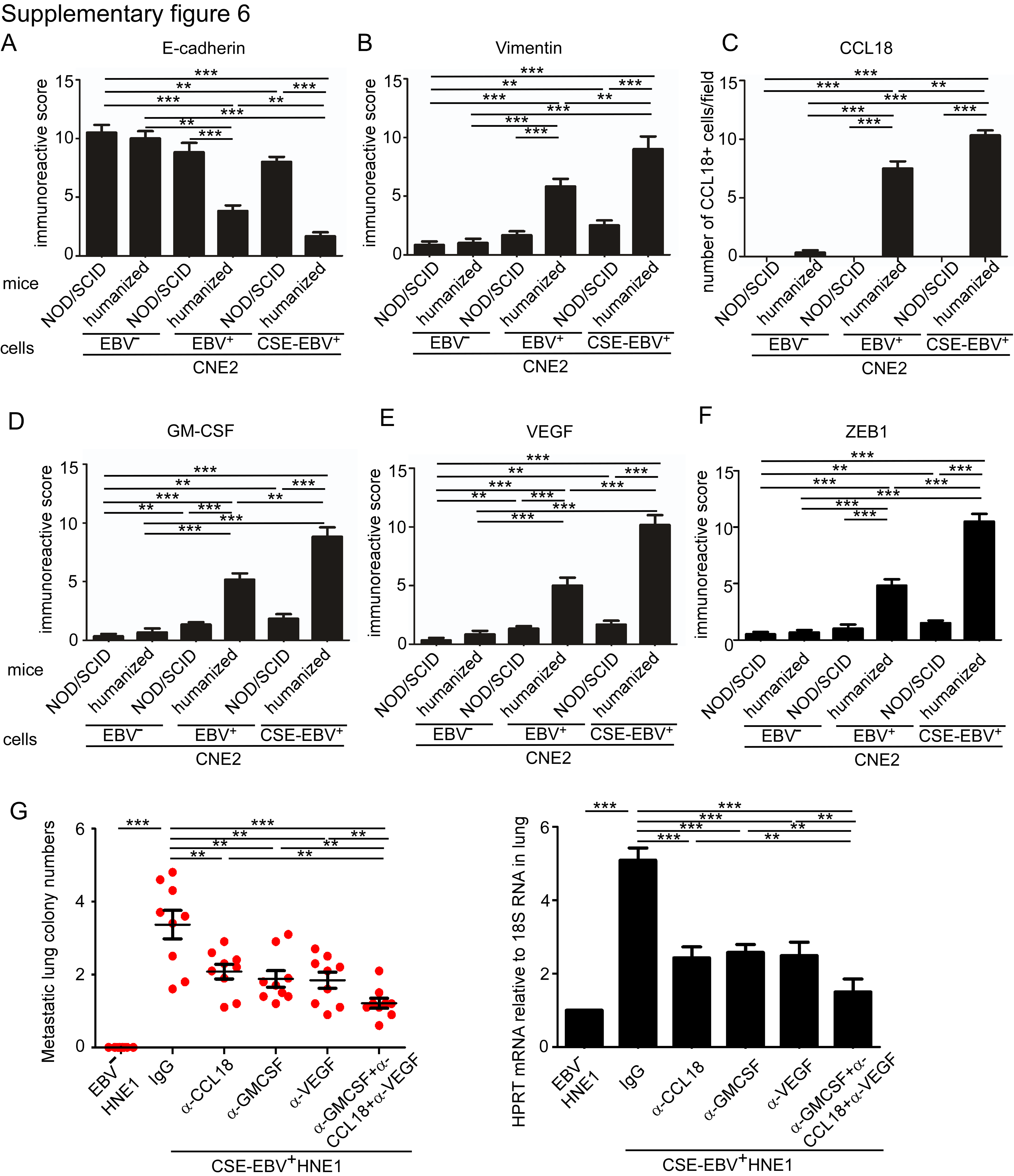 Epstein–Barr Virus-Induced VEGF and GM-CSF Drive Nasopharyngeal ...