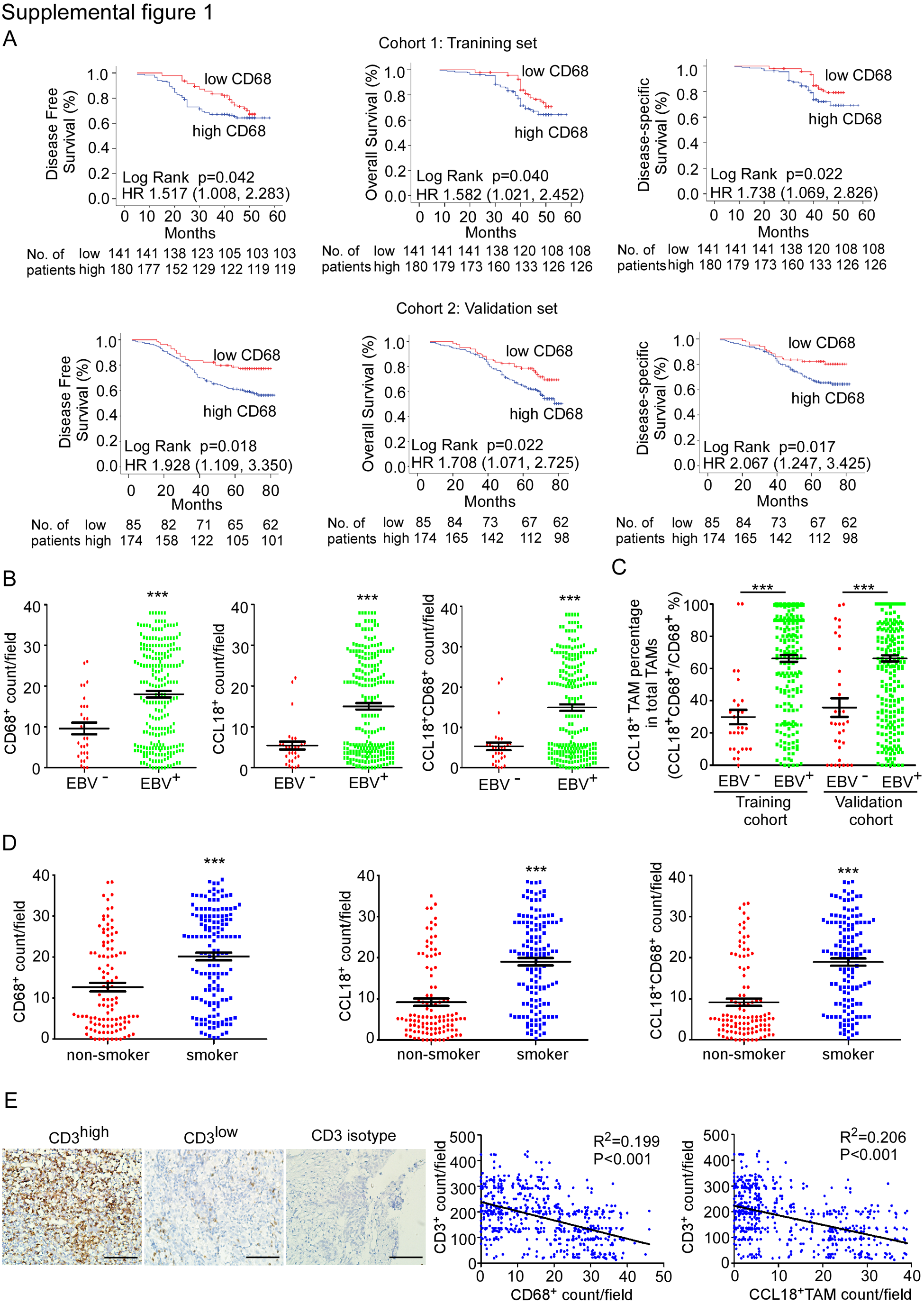 Epstein–Barr Virus-Induced VEGF and GM-CSF Drive Nasopharyngeal ...
