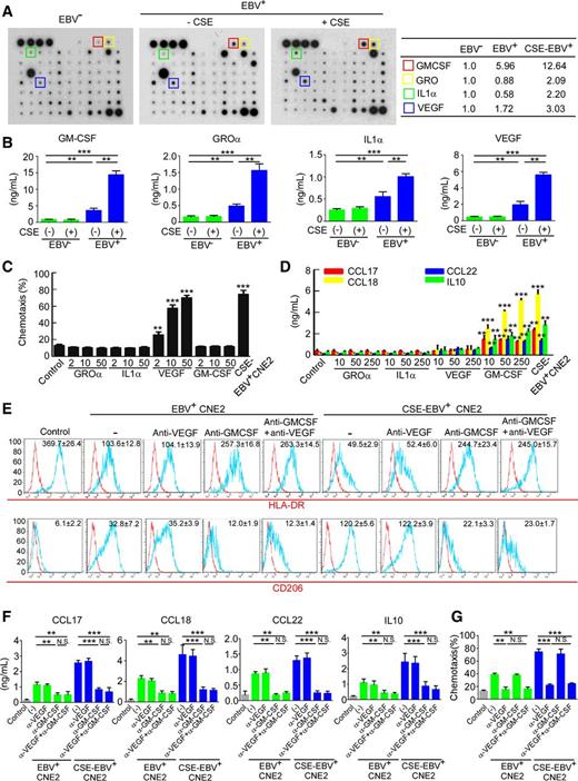 Epstein–Barr Virus-Induced VEGF and GM-CSF Drive Nasopharyngeal ...