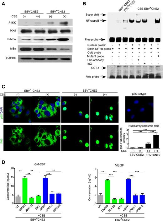 Epstein–Barr Virus-Induced VEGF and GM-CSF Drive Nasopharyngeal ...