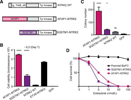 Engineering and Functional Characterization of Fusion Genes Identifies ...