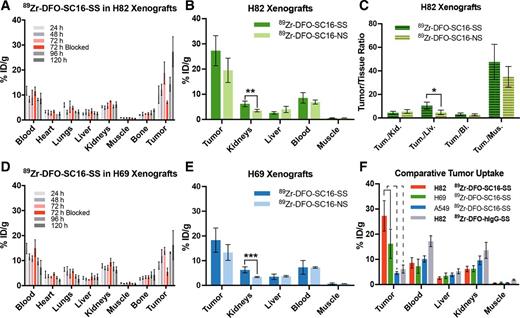 Noninvasive Interrogation of DLL3 Expression in Metastatic Small Cell ...
