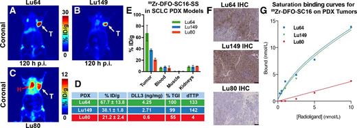 Noninvasive Interrogation of DLL3 Expression in Metastatic Small Cell ...