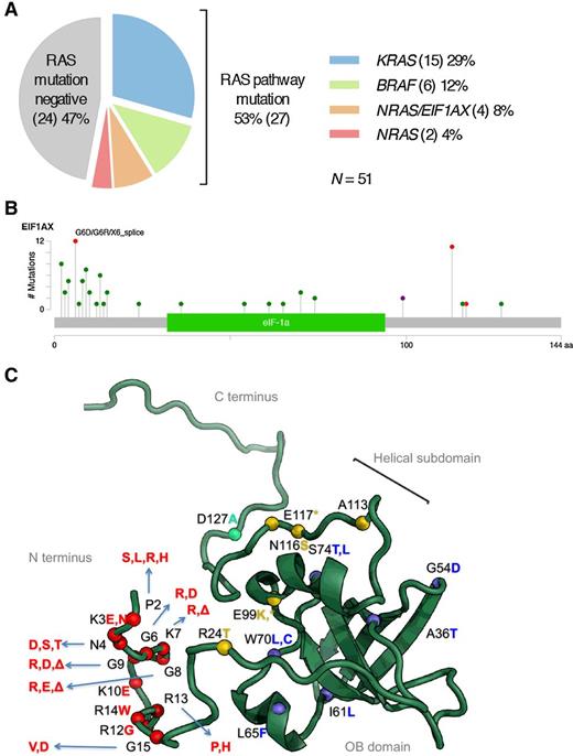 EIF1AX and NRAS Mutations Co-occur and Cooperate in Low-Grade Serous ...