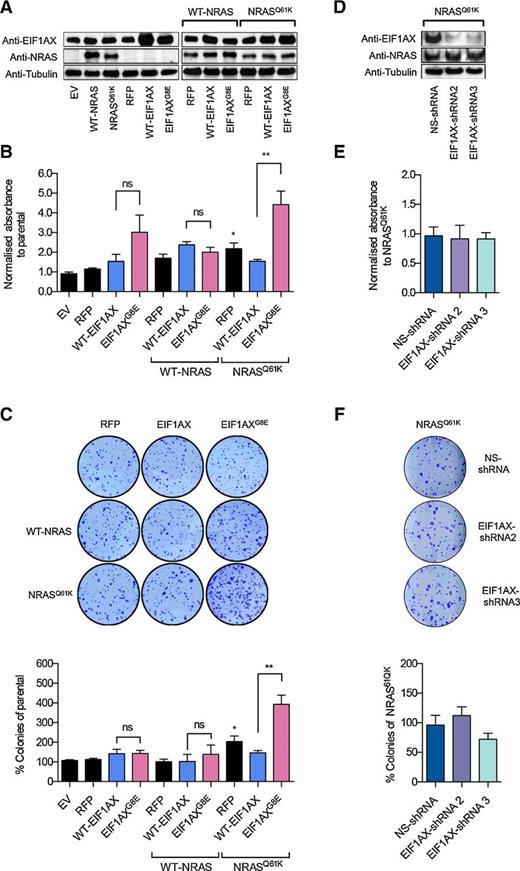 EIF1AX and NRAS Mutations Co-occur and Cooperate in Low-Grade Serous ...