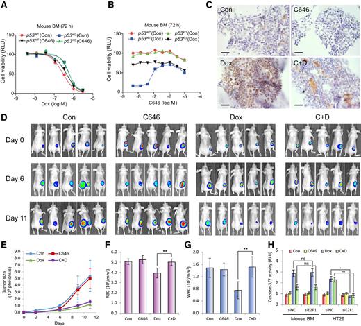 Inhibiting p53 Acetylation Reduces Cancer Chemotoxicity | Cancer ...
