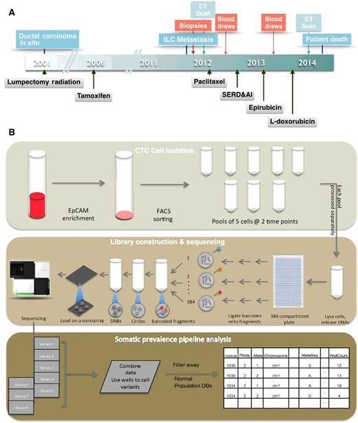 Quantitative Whole Genome Sequencing of Circulating Tumor Cells Enables ...