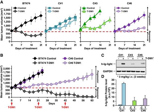 Resistance to the Antibody–Drug Conjugate T-DM1 Is Based in a Reduction ...