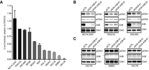 APOBEC3A and APOBEC3B Activities Render Cancer Cells Susceptible to ATR ...