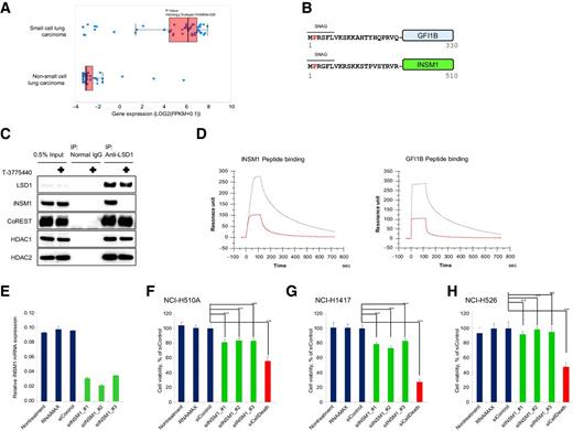 LSD1 Inhibitor T-3775440 Inhibits SCLC Cell Proliferation by Disrupting ...