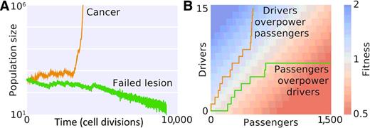 The Damaging Effect of Passenger Mutations on Cancer Progression ...