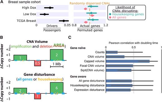 The Damaging Effect of Passenger Mutations on Cancer Progression ...