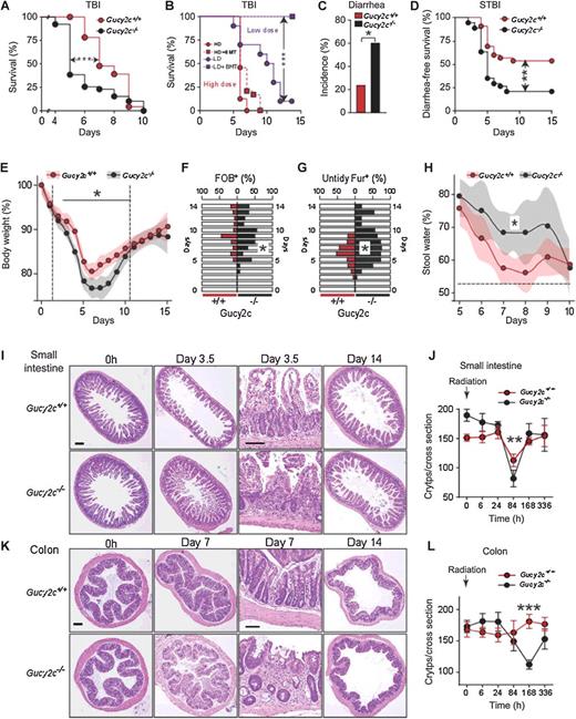GUCY2C Signaling Opposes the Acute Radiation-Induced GI Syndrome ...