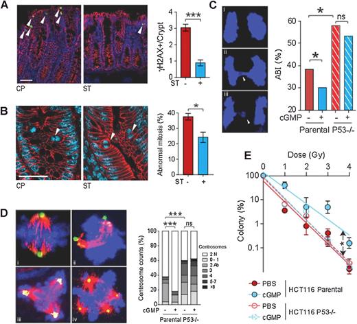 GUCY2C Signaling Opposes the Acute Radiation-Induced GI Syndrome ...