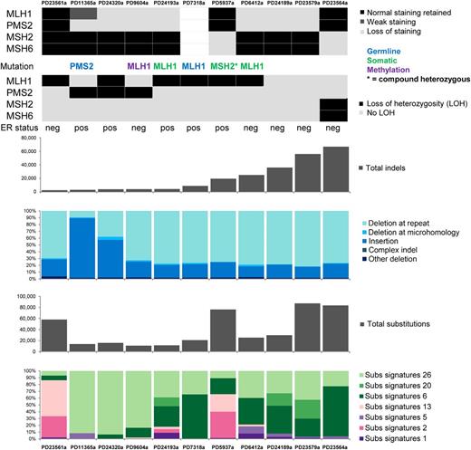 Whole-Genome Sequencing Reveals Breast Cancers with Mismatch Repair ...