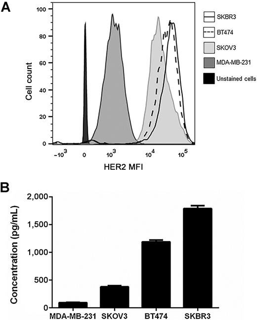 Trastuzumab Increases HER2 Uptake and Cross-Presentation by Dendritic ...